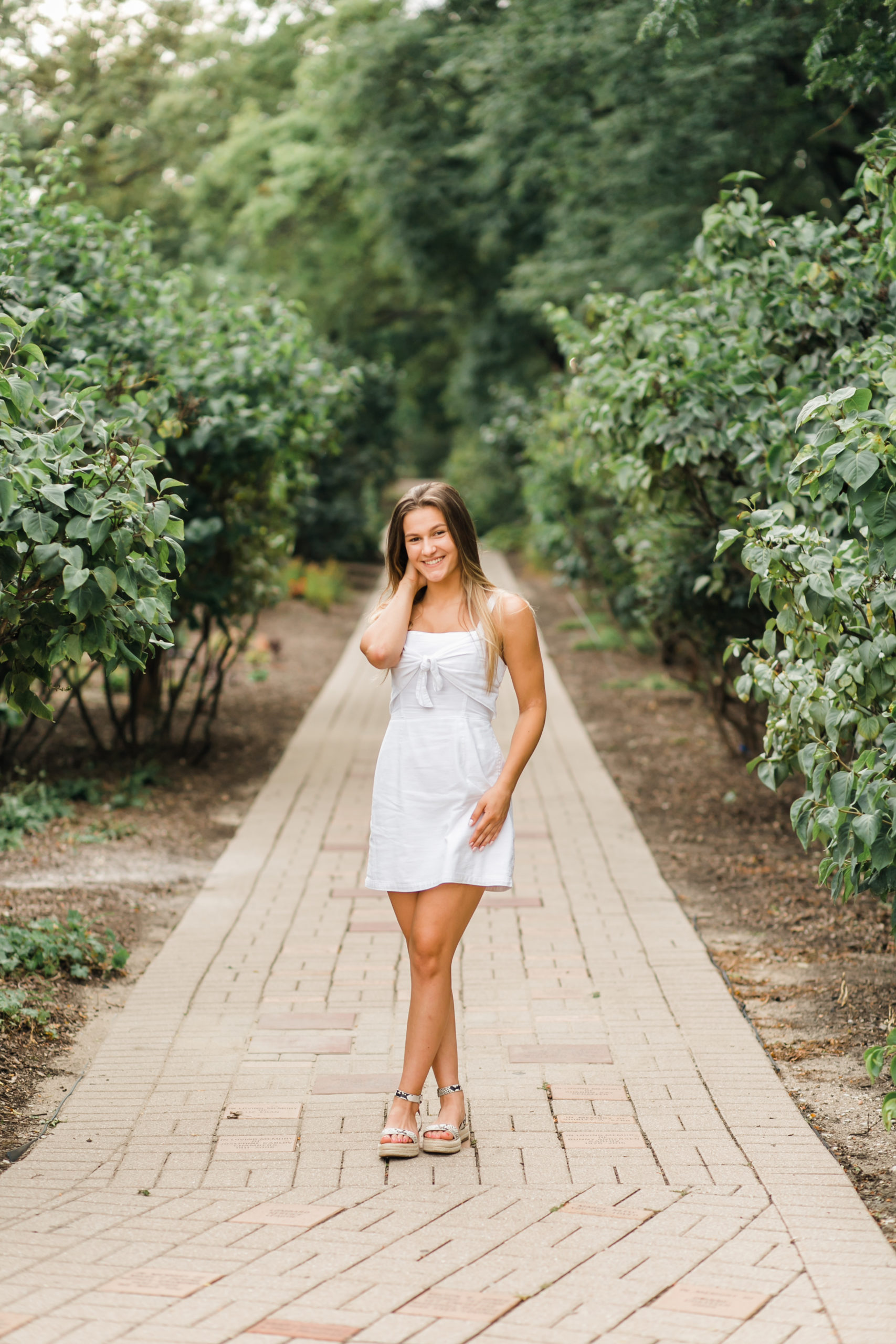 Lombard Senior Photographer - janetdphotography.com